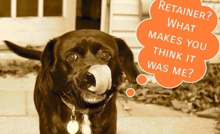 The dog ate my retainers! | Park Lane Orthodontics